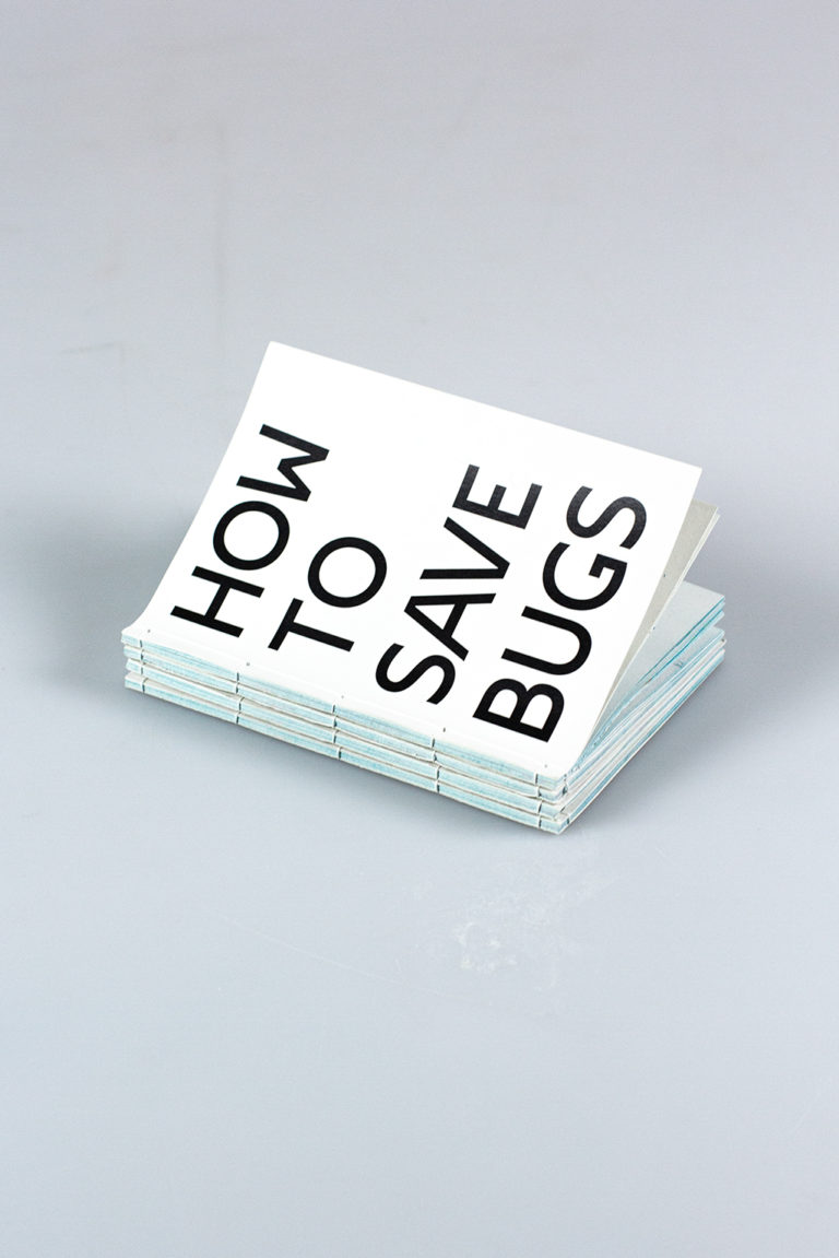 How to save bugs - Digital Media Bremen